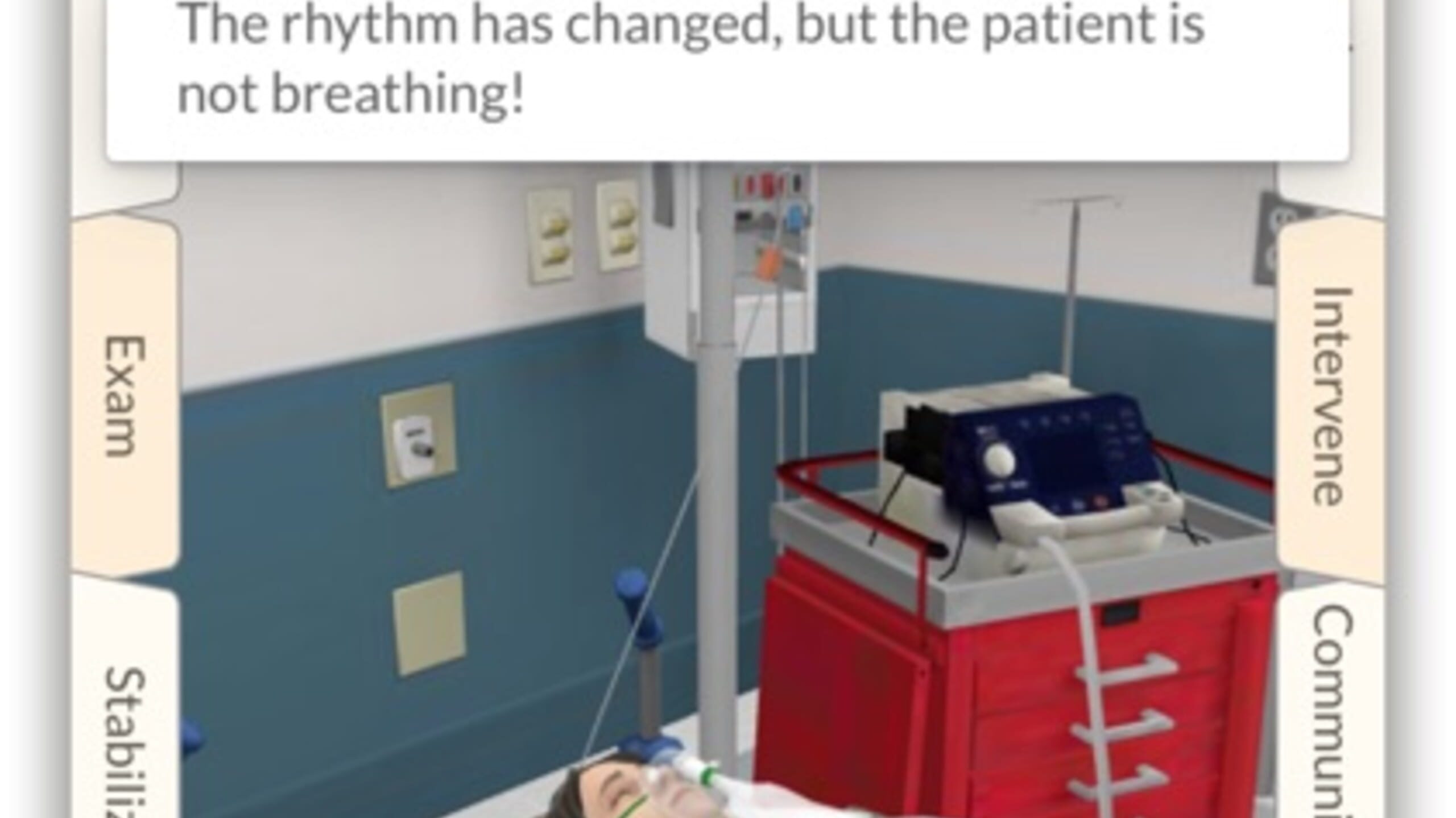 Full Code Server Status: Is Full Code Down Right Now? - Gamebezz