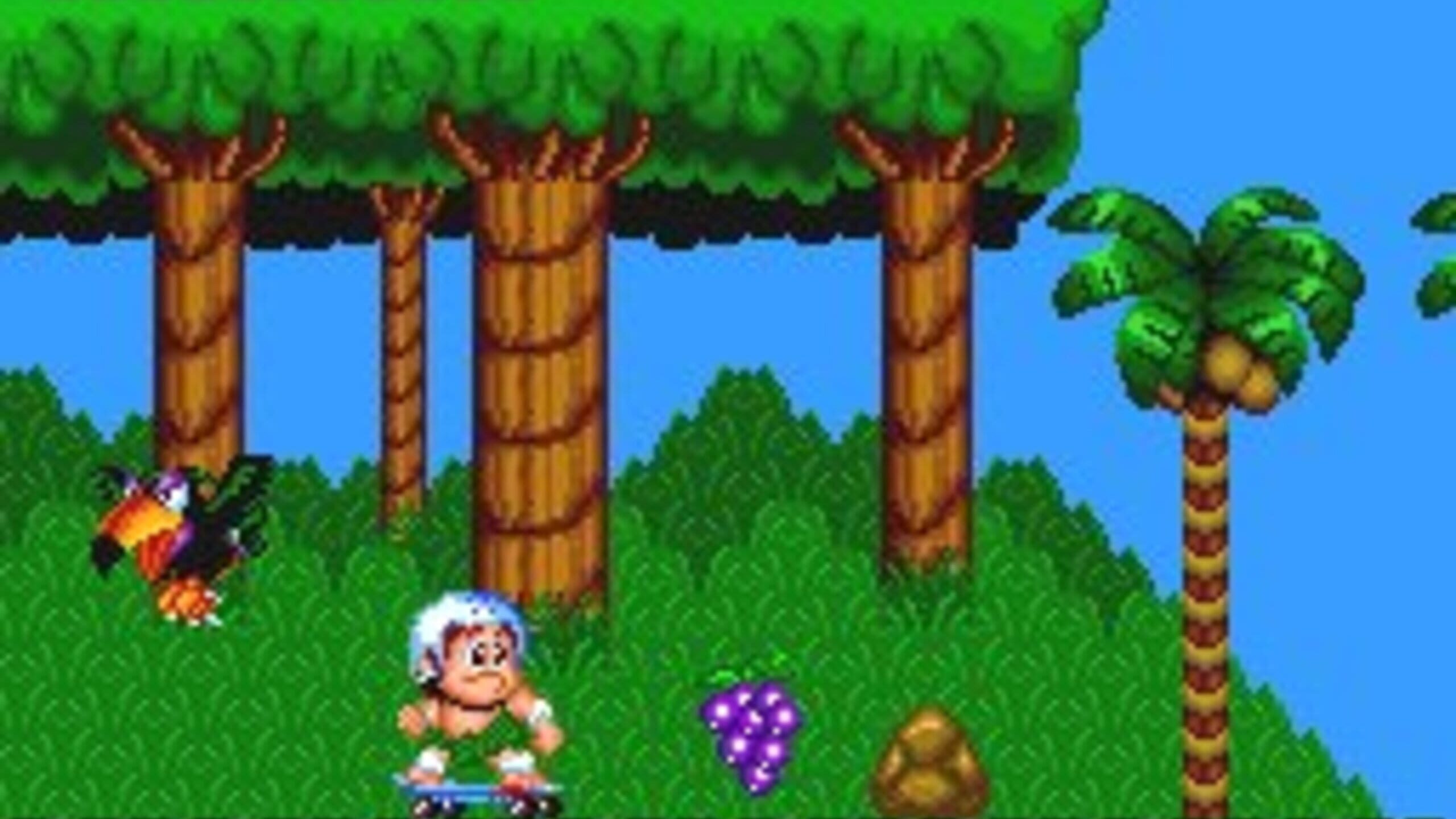 New Adventure Island Server Status: Is New Adventure Island Down Right ...