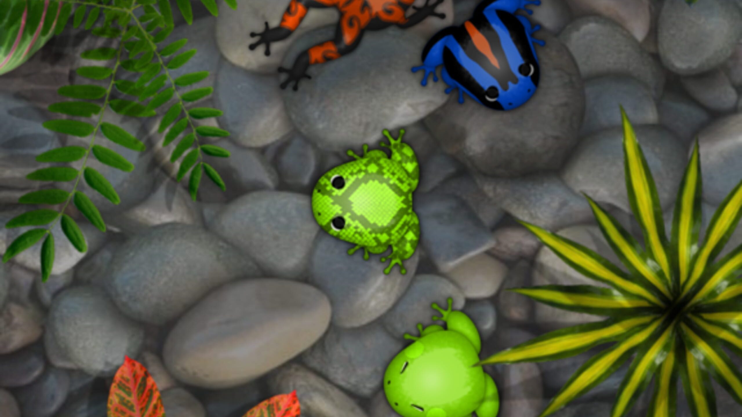 Pocket Frogs Server Status: Is Pocket Frogs Down Right Now? - Gamebezz