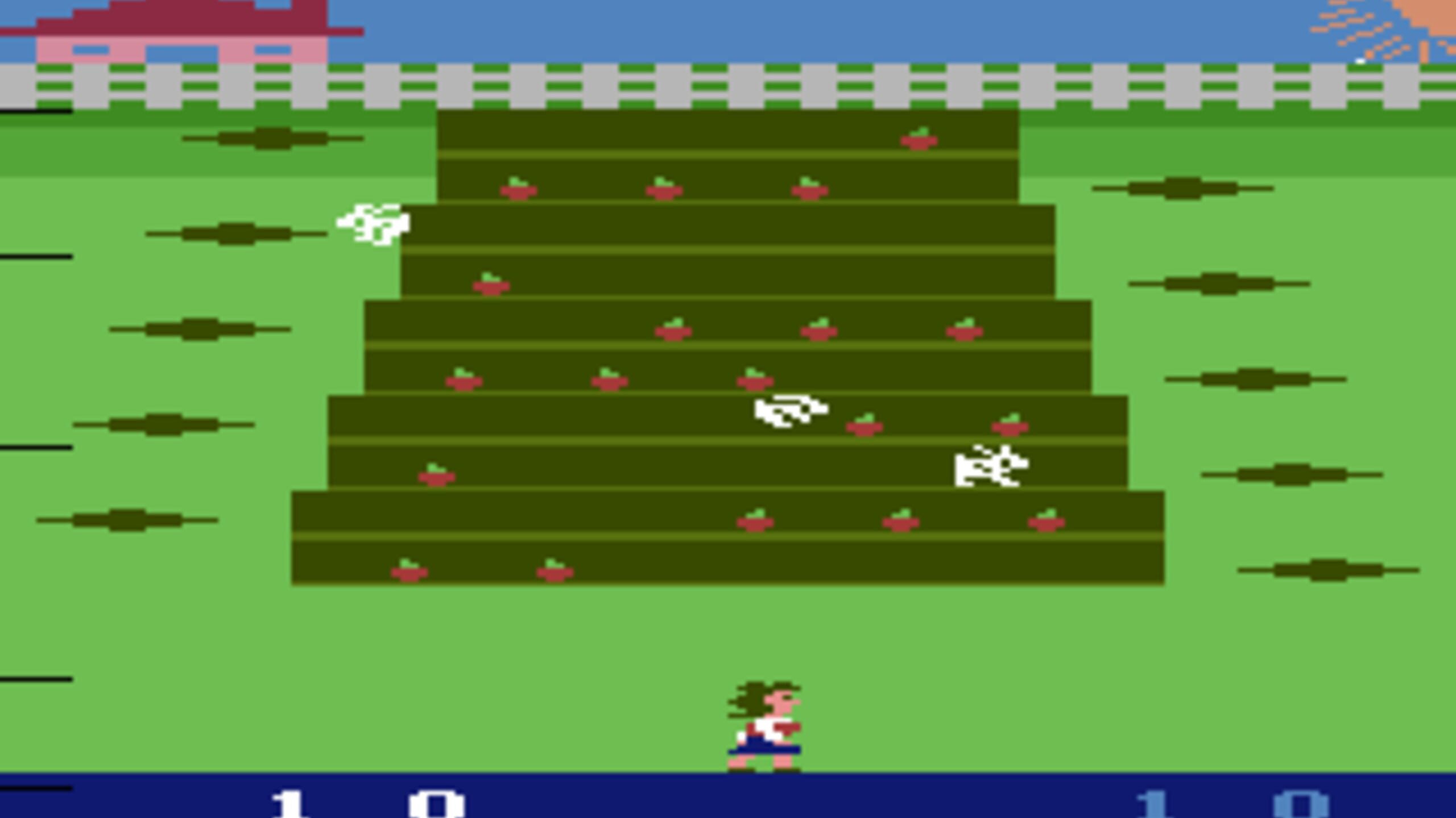 Wabbit Server Status: Is Wabbit Down Right Now? - Gamebezz